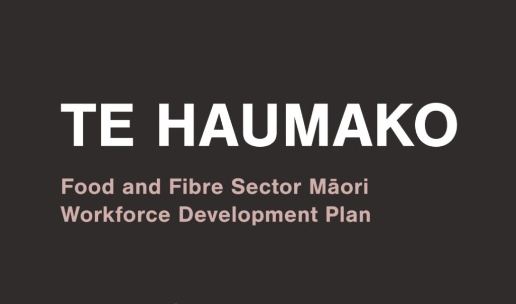 Te Haumako - Muka Tangata Māori Workforce Development Plan - Federation ...