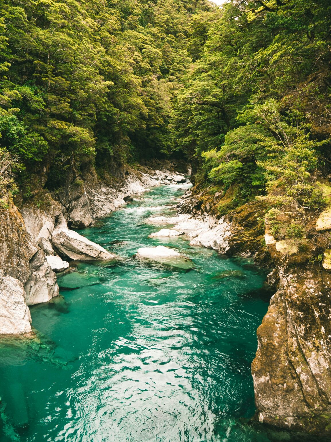 Wai Manawa Whenua - Federation of Maori Authorities